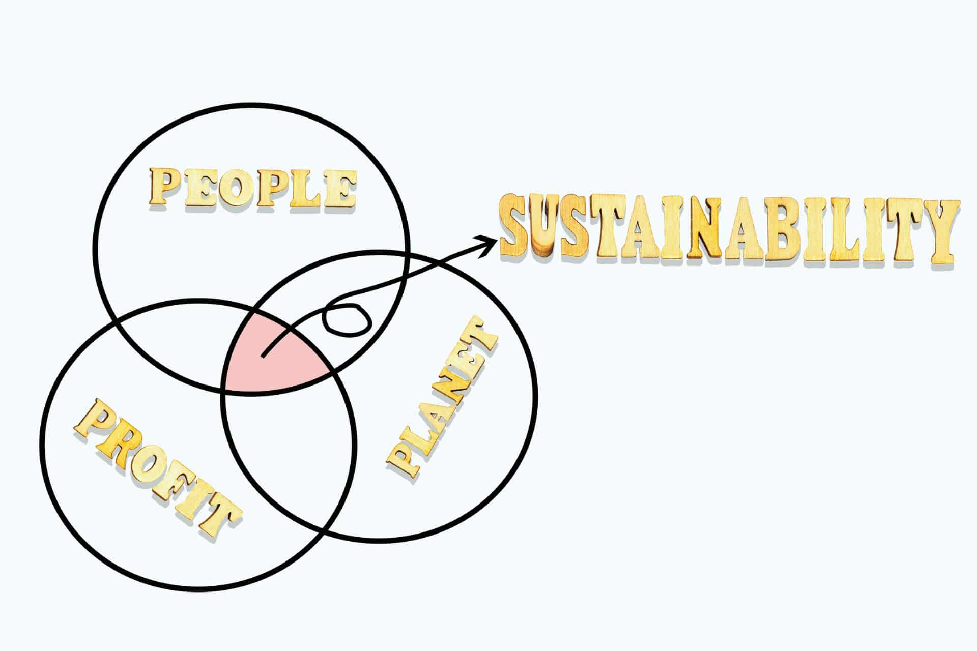 Leadership, CSR and Sustainability (Part 1) - THE SIXSESS CONSULTANCY